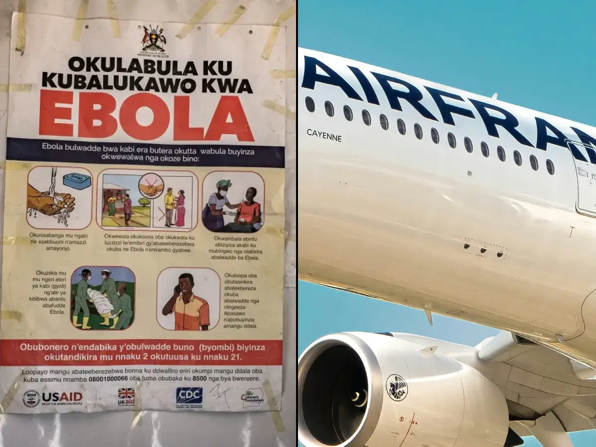 Passenger from DRC boards Air France flight ‘in error’, removed after ...